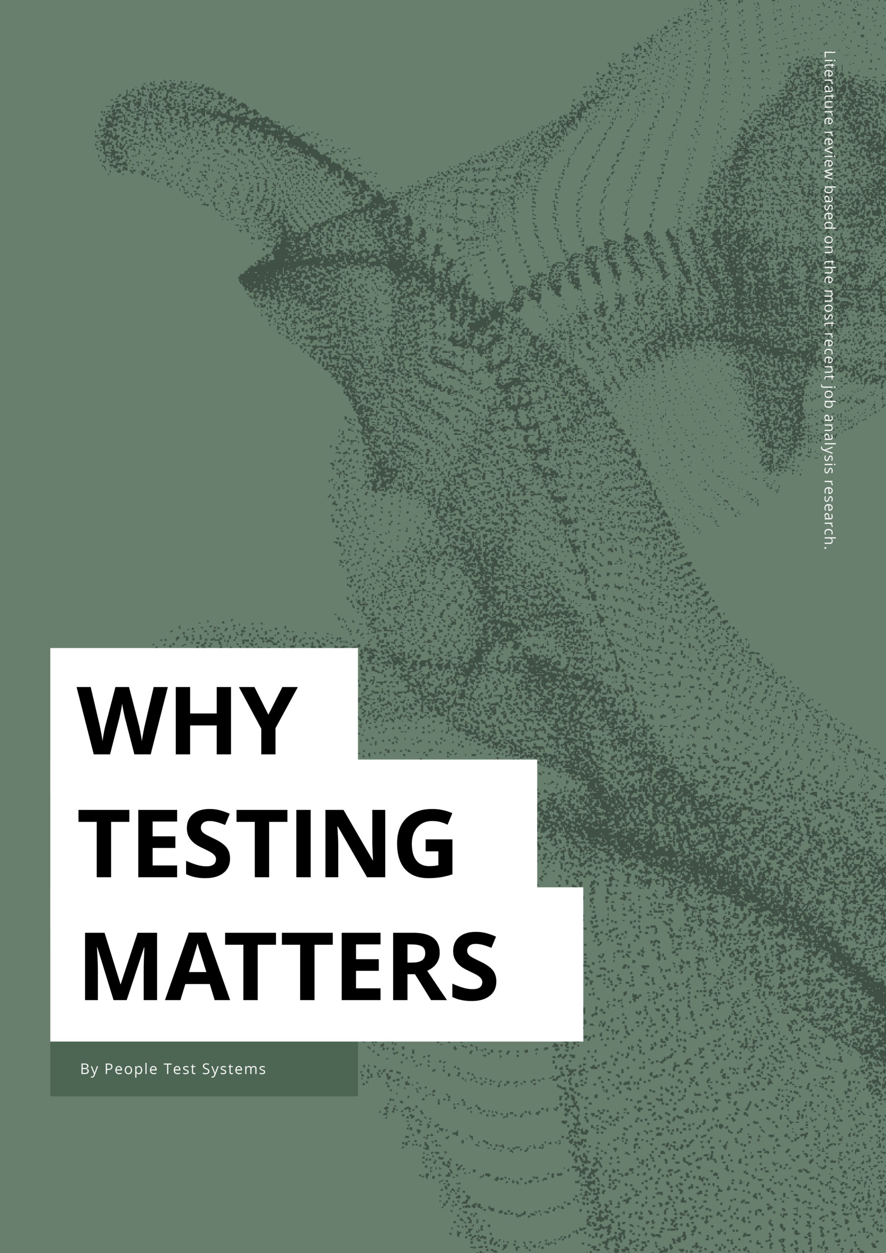 Why Testing Matters - Whitepaper from People Test Systems