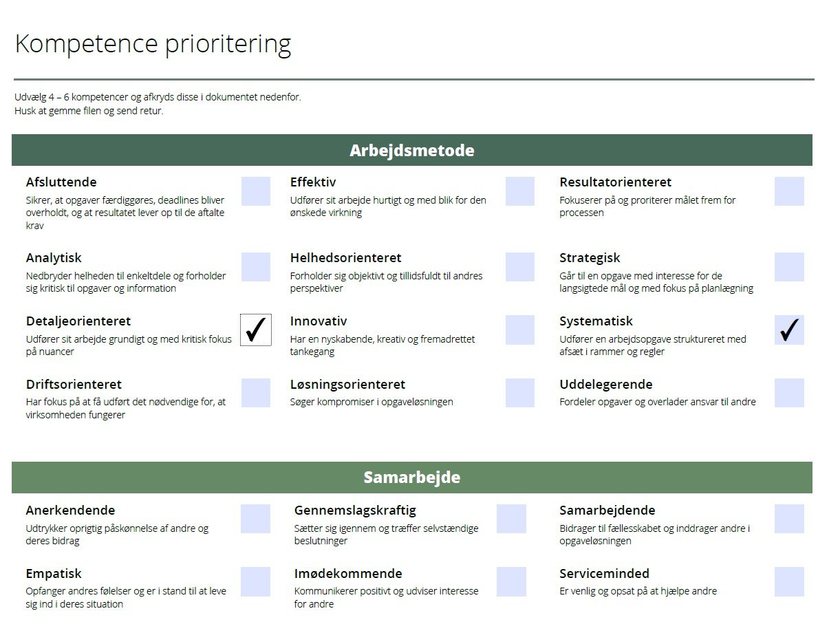 Virtuel kompetenceprioritering - People Test Systems